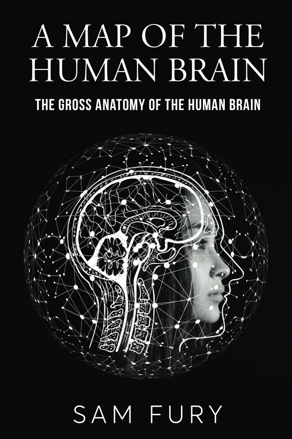 A Map of the Human Brain: The Gross Anatomy of the Human Brain ...