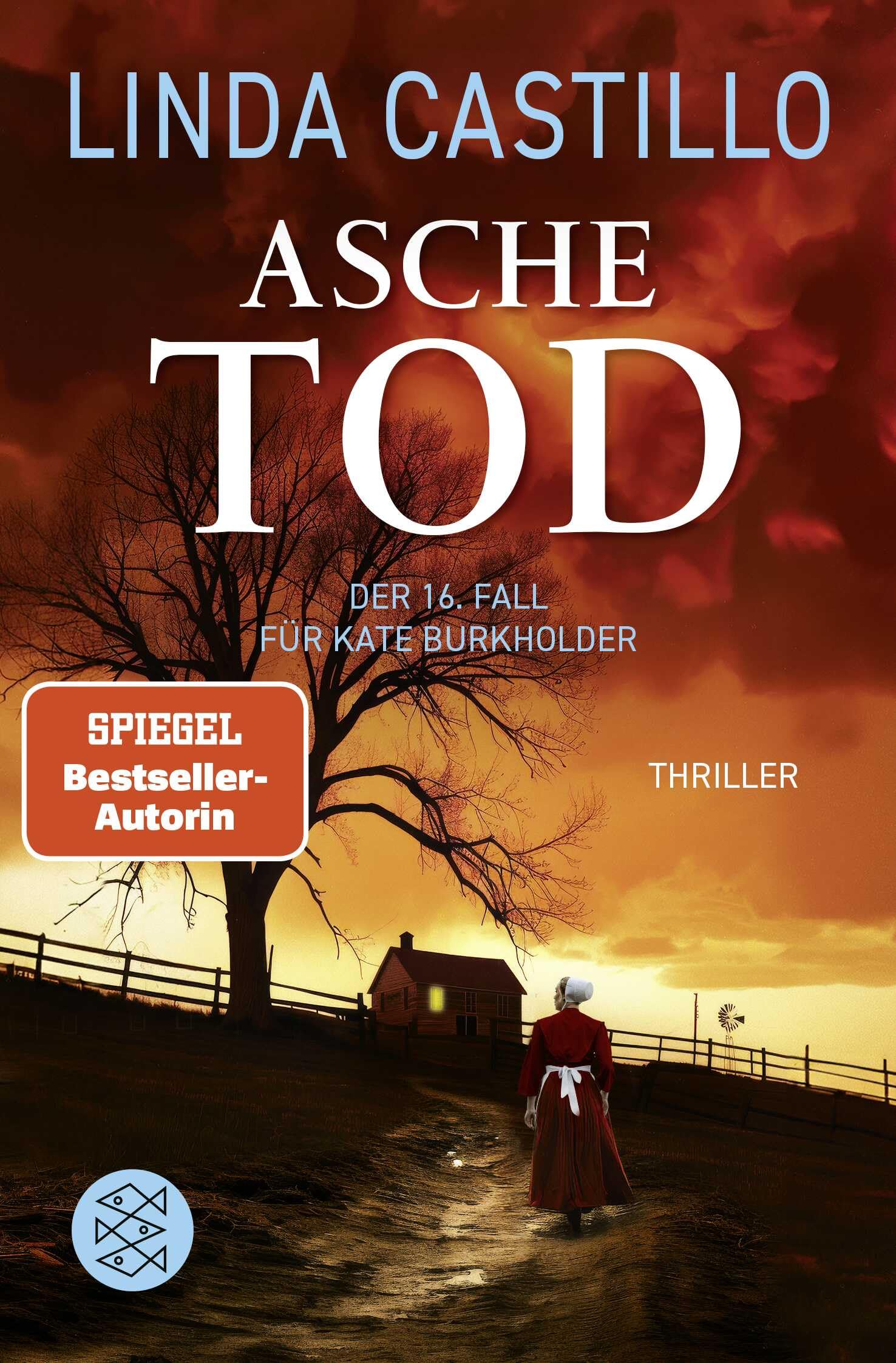 Aschetod: Thriller | Spannender Thriller bei den Amischen (Kate ...