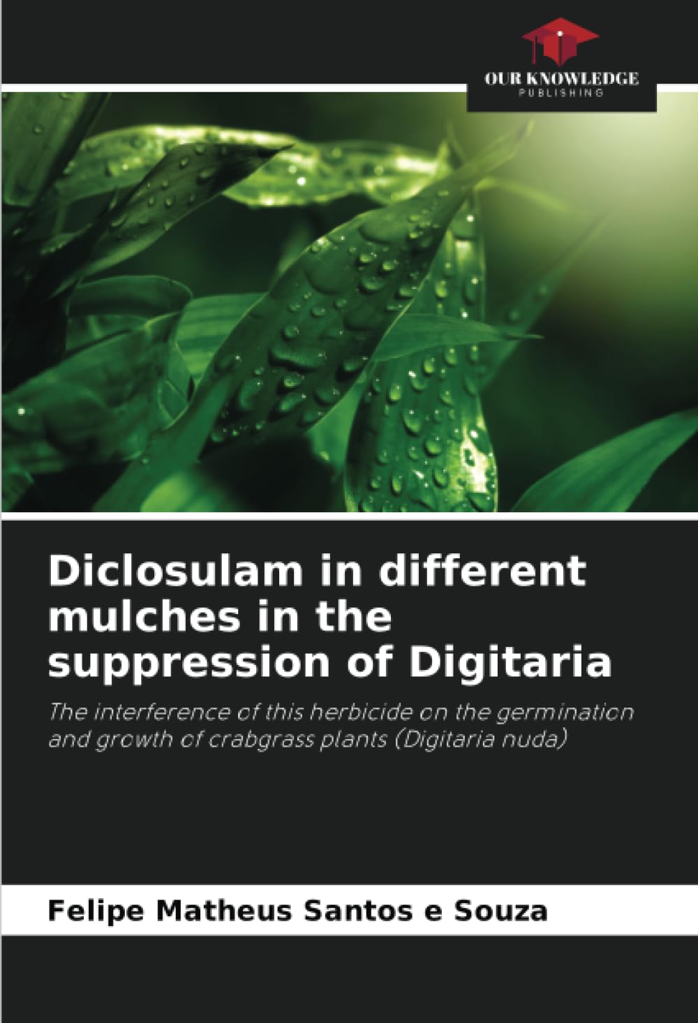 Diclosulam in different mulches in the suppression of Digitaria: The ...