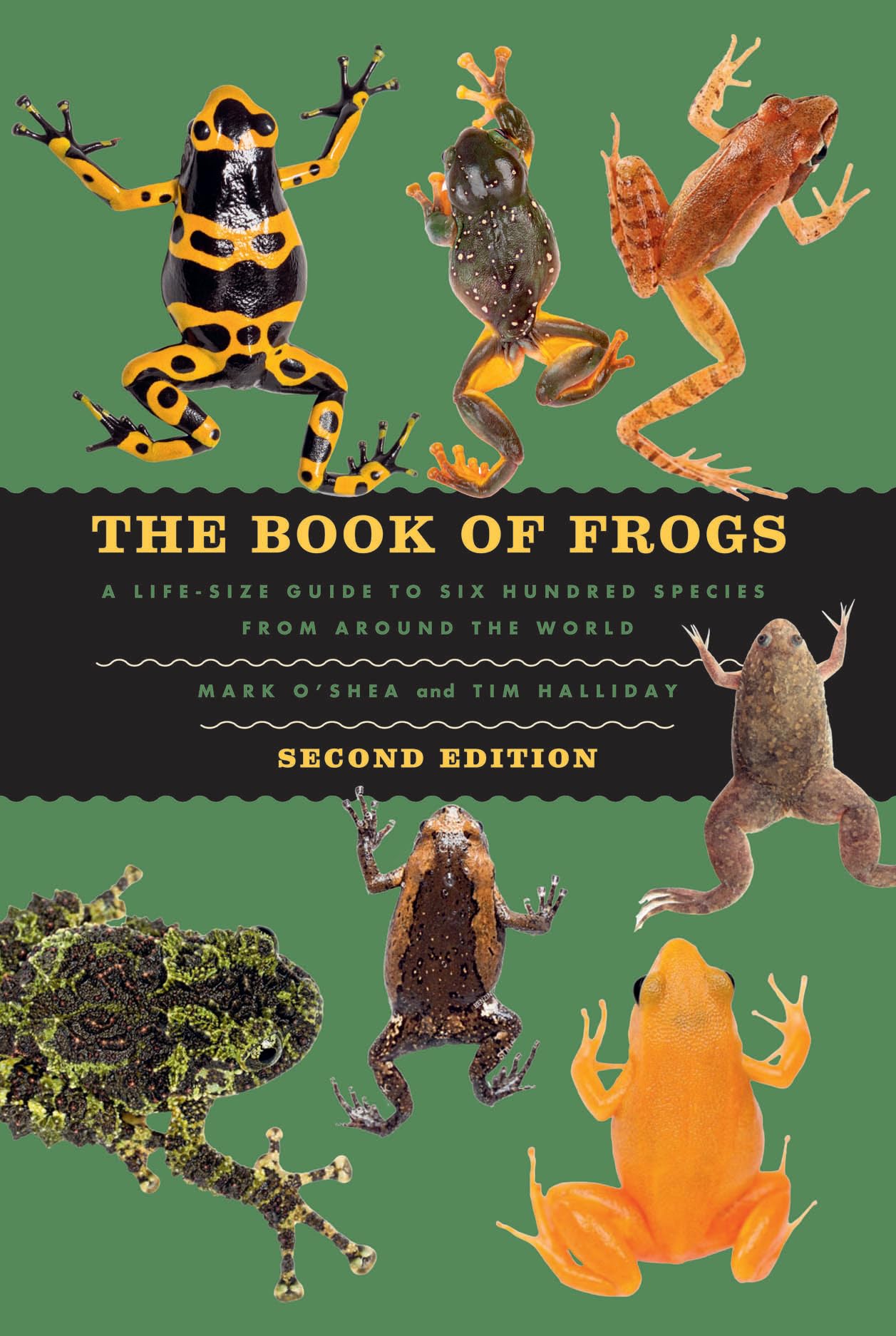 The Book of Frogs: A Life-Size Guide to Six Hundred Species from around ...