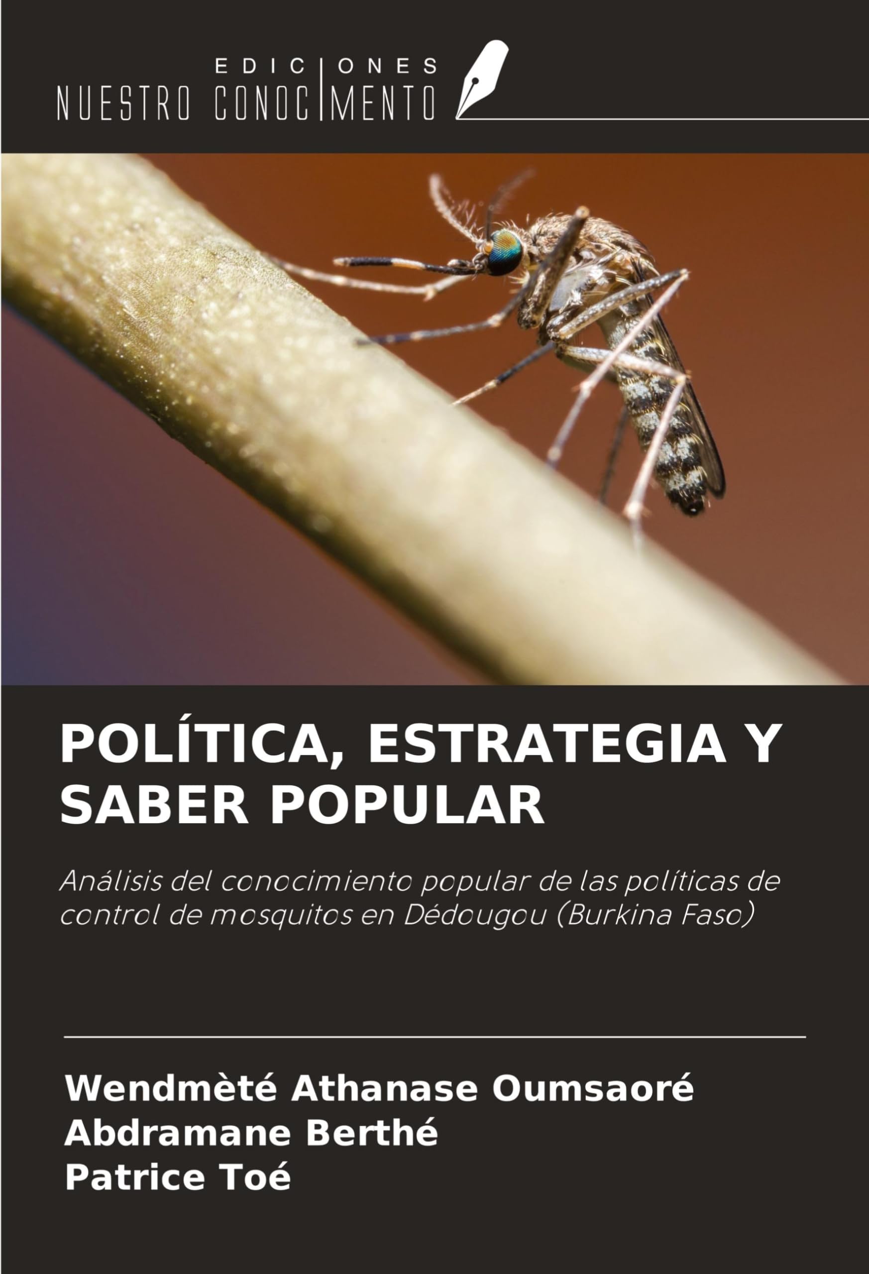 POLÍTICA, ESTRATEGIA Y SABER POPULAR: Análisis del conocimiento popular ...