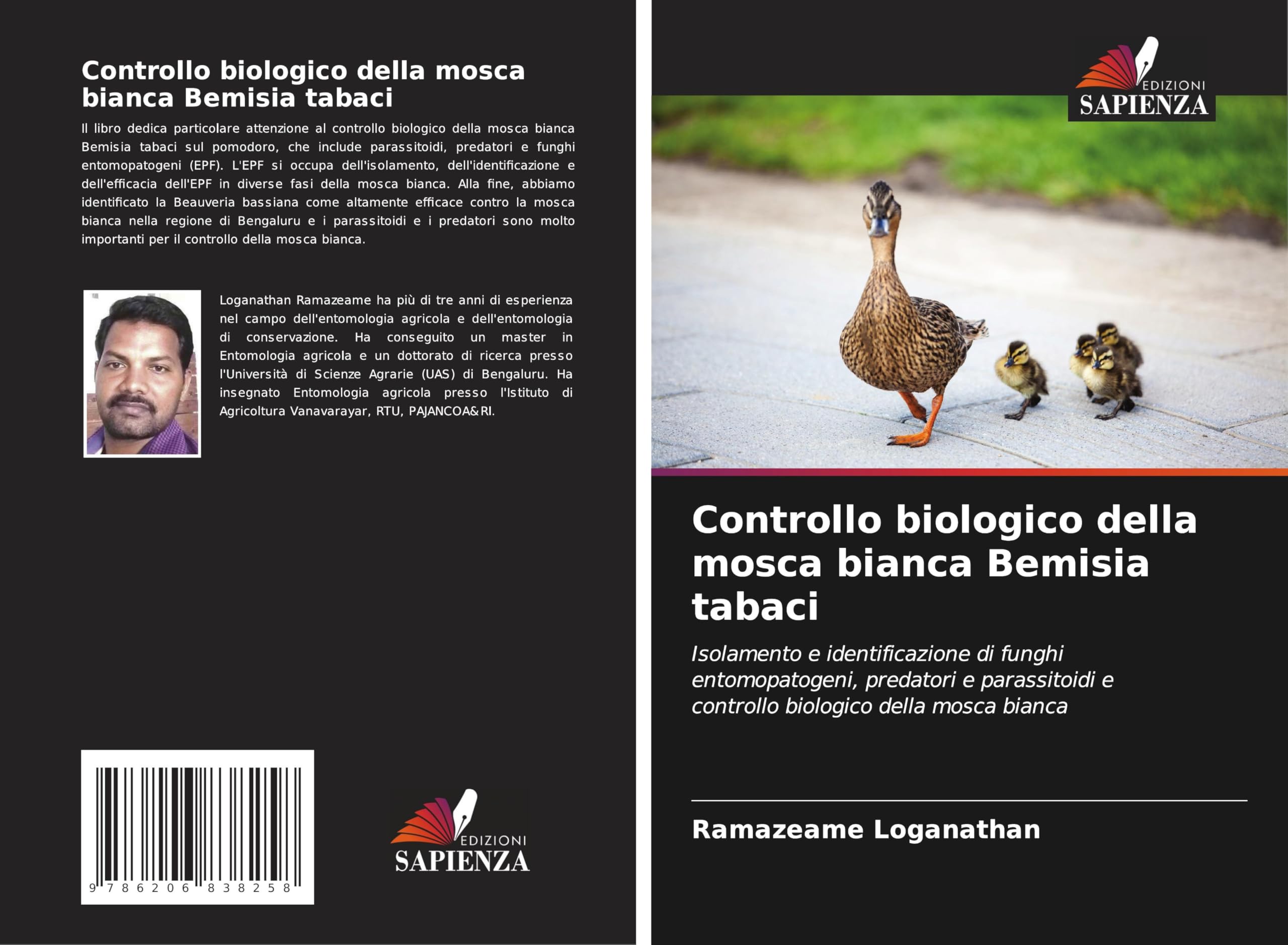 Controllo biologico della mosca bianca Bemisia tabaci: Isolamento e ...