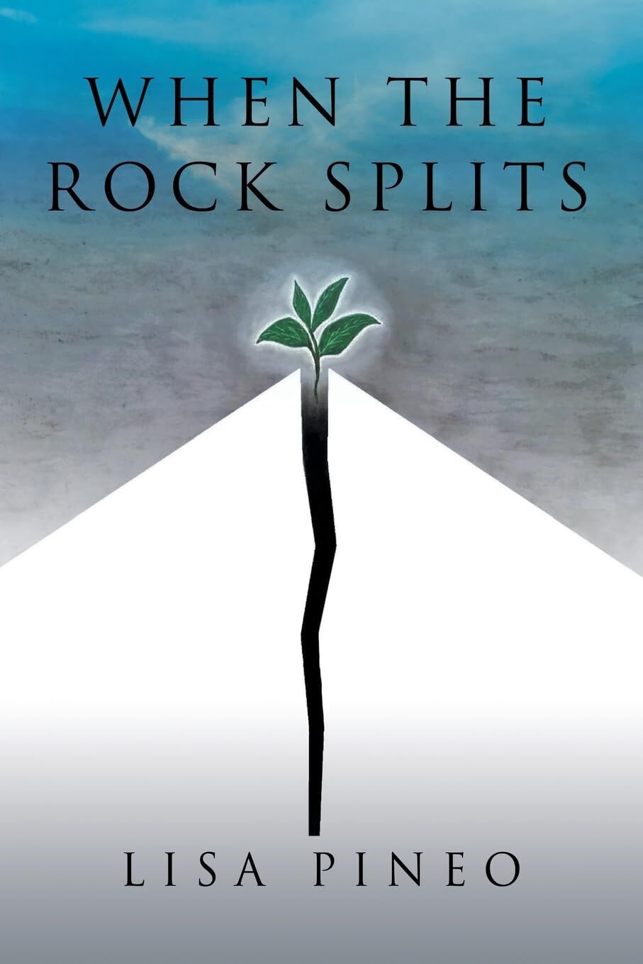 When the Rock Splits de Lisa Pineo - Livre broché
