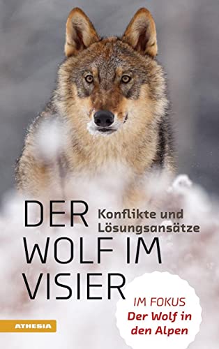 Der Wolf im Visier – Konflikte und Lösungsansätze: Der Wolf in den ...