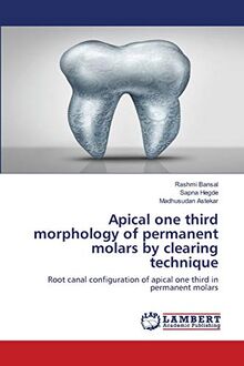 Apical one third morphology of permanent molars by clearing technique ...