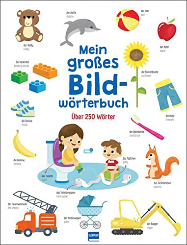 Mein großes Bildwörterbuch: Zweisprachiges Bildwörterbuch mit über 250 ...