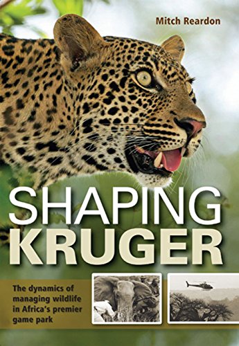 Shaping Kruger von Mitch Reardon - Taschenbuch