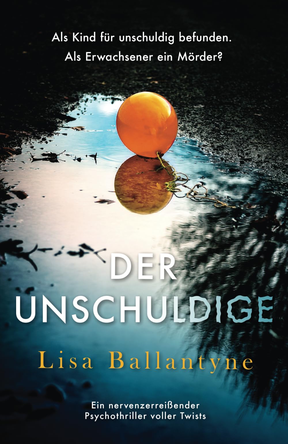Der Unschuldige: Ein nervenzerreißender Psychothriller voller Twists von