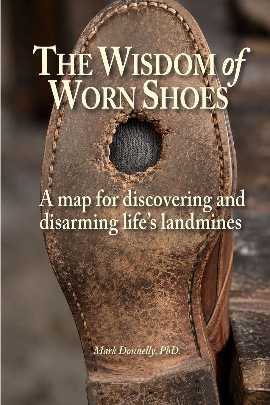 The Wisdom of Worn Shoes von Donnelly, Mark D - Taschenbuch