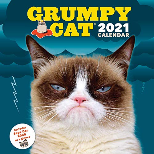 Grumpy Cat 2021 Wall Calendar: (Cranky Kitty Monthly Calendar, Funny ...