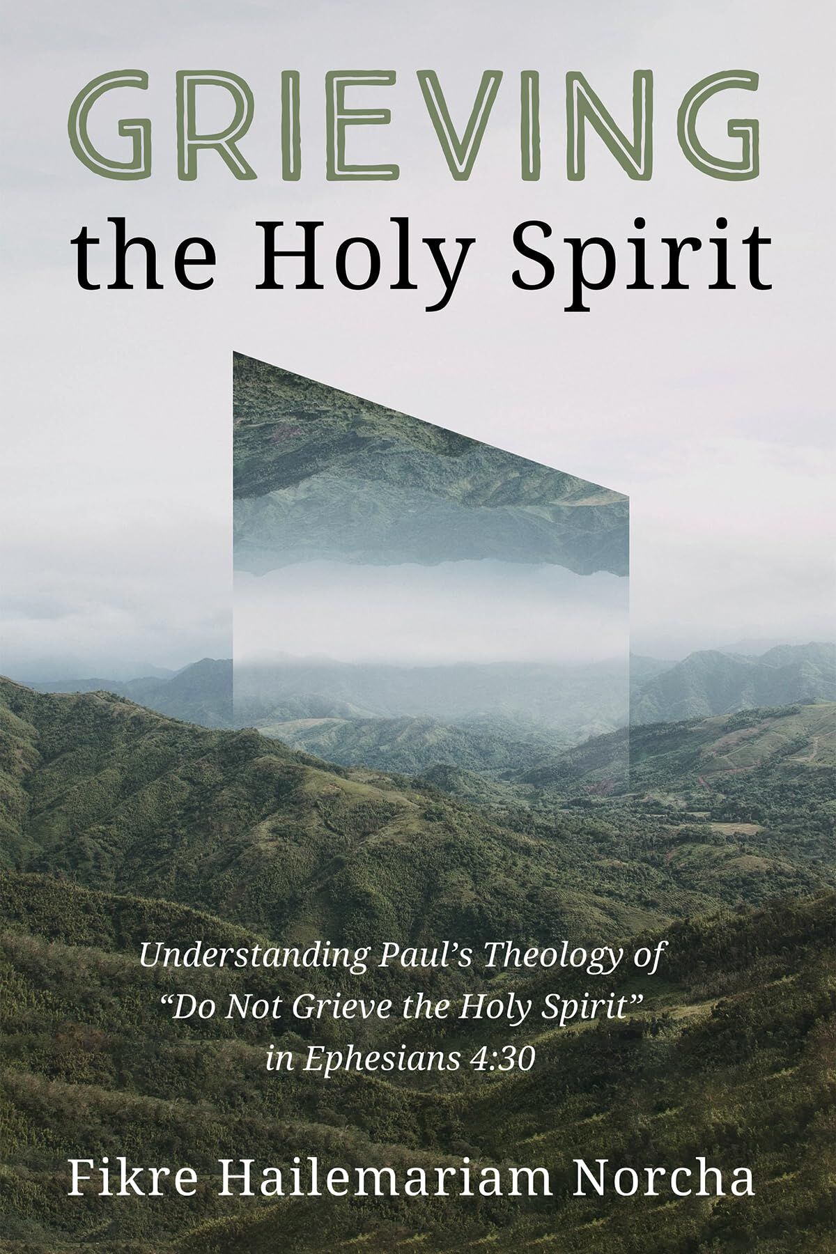 Grieving the Holy Spirit von Norcha, Fikre Hailemariam - Taschenbuch