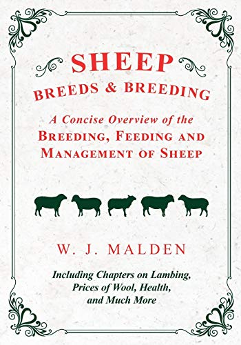 Sheep Breeds and Breeding - A Concise Overview of the Breeding, Feeding ...