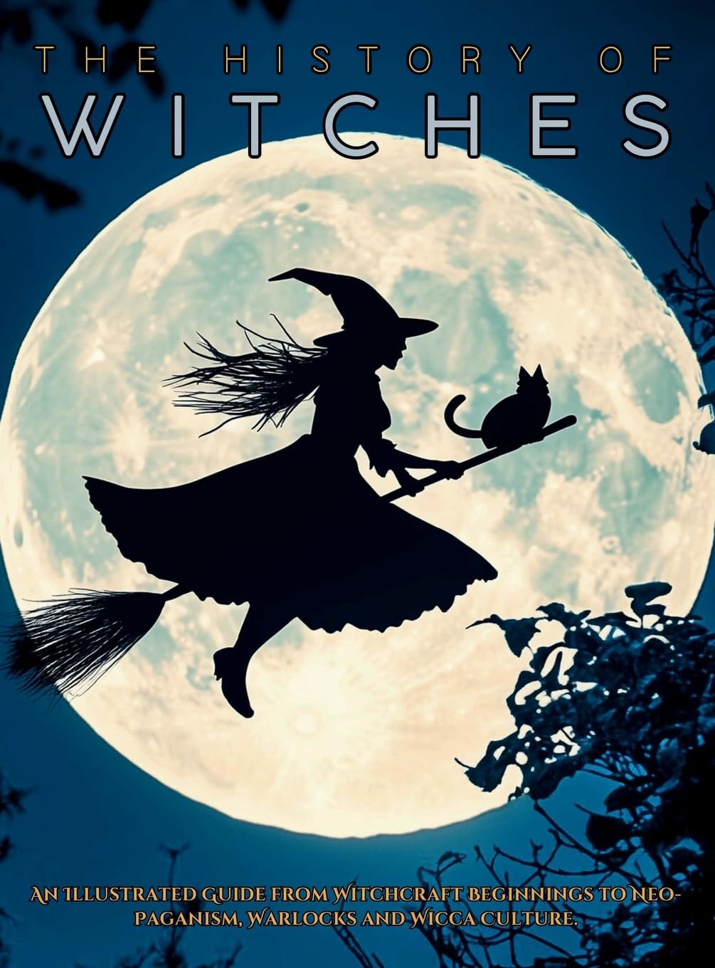 The History of Witches: An Illustrated Guide from Witchcraft Beginnings ...