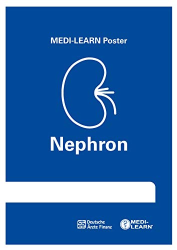 Nephron-Poster: MEDI-LEARN Poster von Thomas Bormann - Poster
