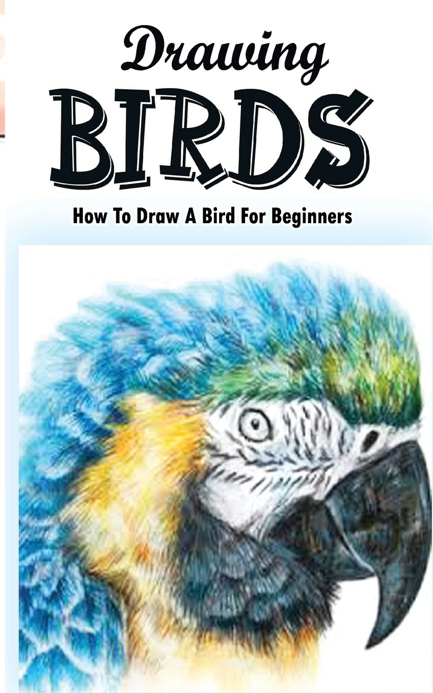 Drawing Birds: How To Draw A Bird For Beginners: How To Draw Birds Step ...
