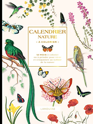 Calendrier nature à colorier : 12 mois à colorier ou à peindre pour ...
