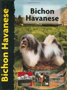 BICHON HAVANESE (PET love) de Zoila Portuondo Guerra | Livre | état ...