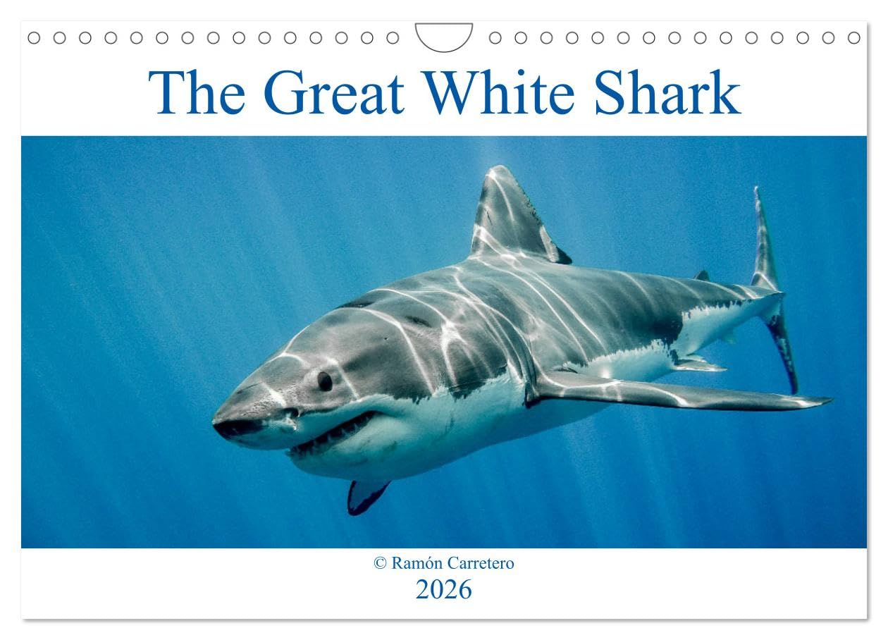 The Great White Shark: King of the Ocean (Wall Calendar 2026 DIN A4 ...