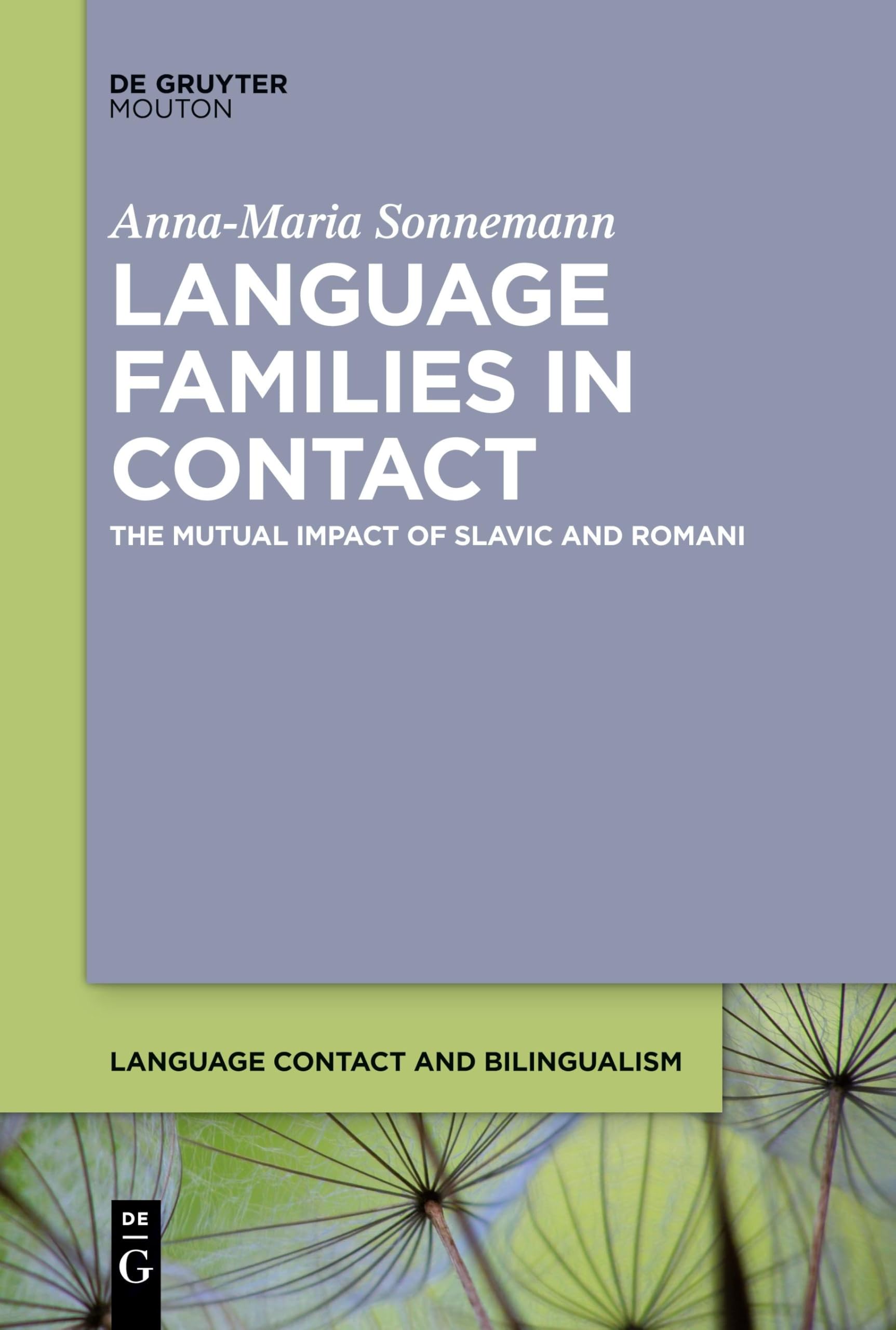 Language Families in Contact: The Mutual Impact of Slavic and Romani ...