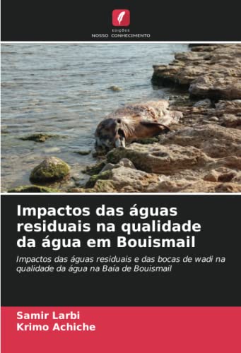 Impactos das águas residuais na qualidade da água em Bouismail ...