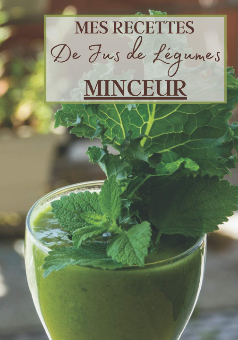 Mes Recettes de Jus de Légumes Minceur: Livre recette extracteur de jus ...