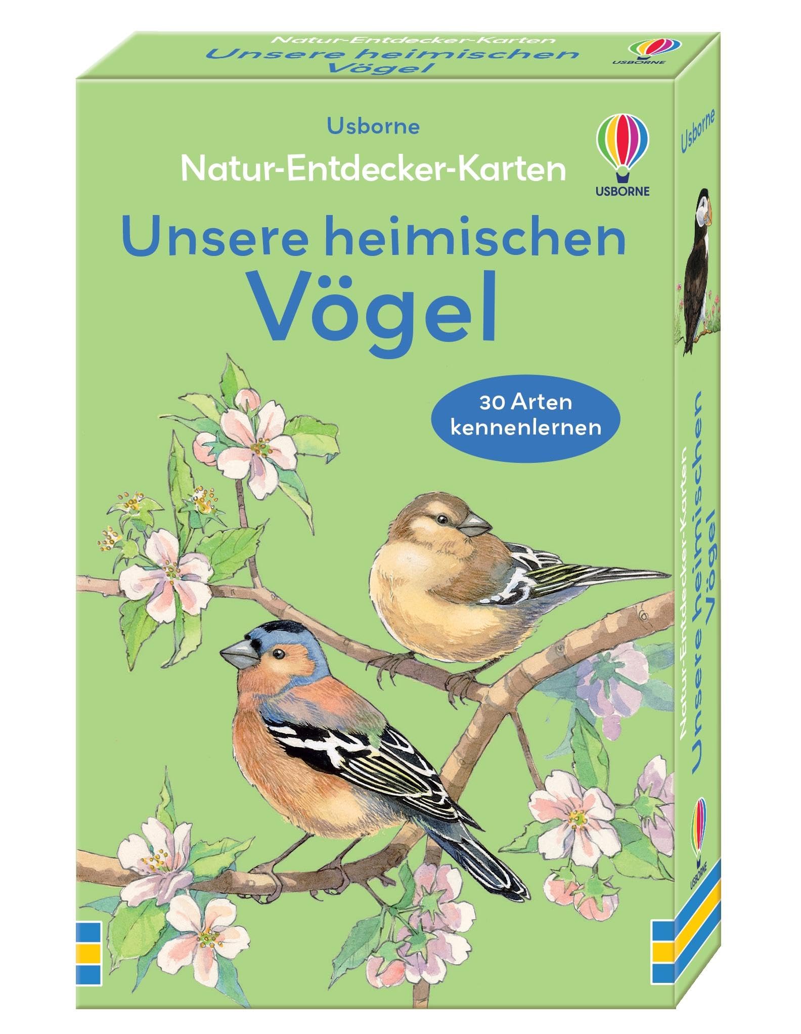 Natur-Entdecker-Karten: Unsere heimischen Vögel: Box mit 30 Karten, die ...