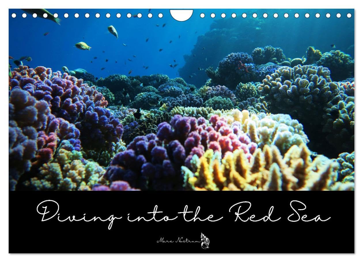 Diving into the Red Sea (Wall Calendar 2026 DIN A4 landscape), CALVENDO ...
