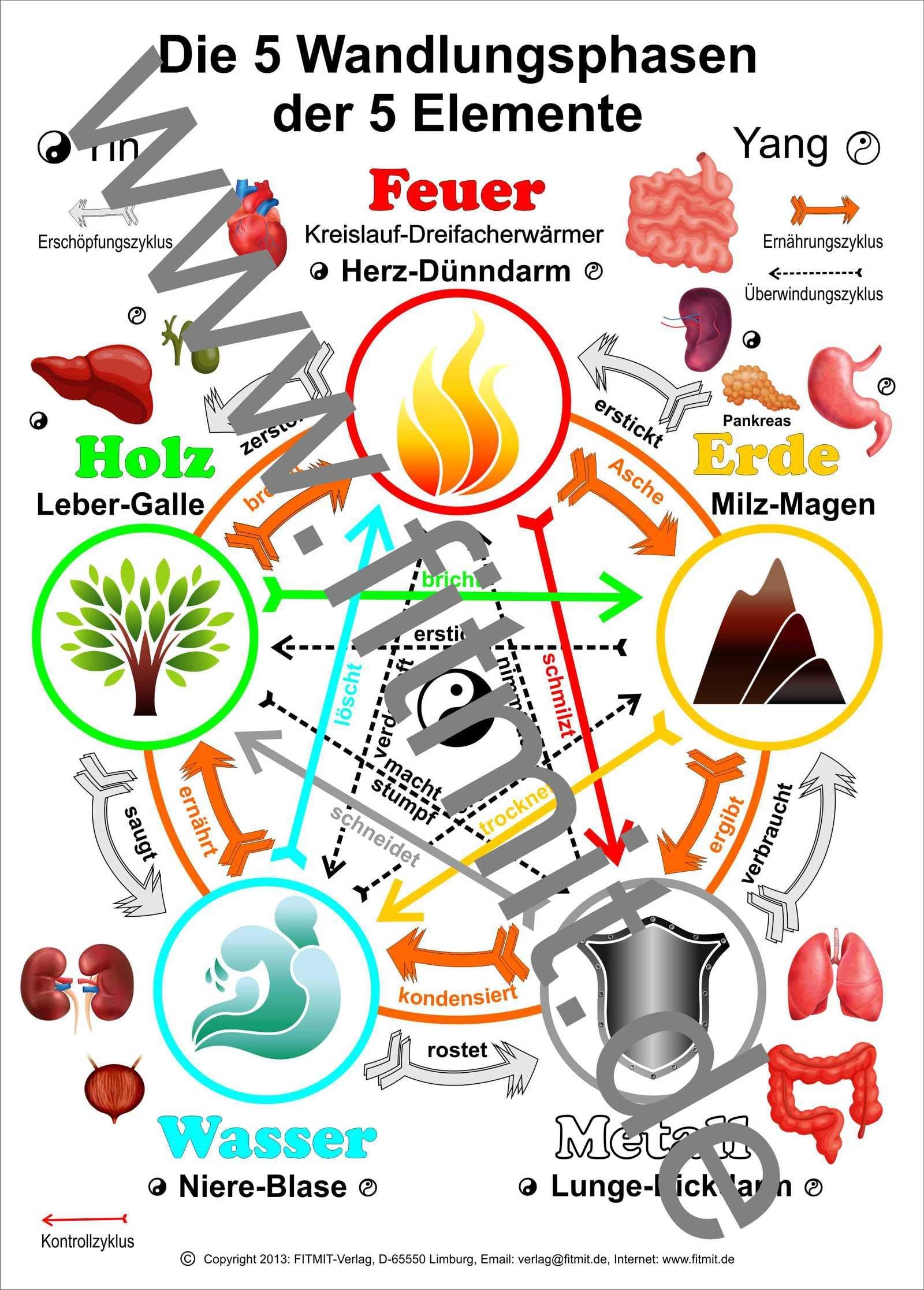 Die 5 Wandlungsphasen: Übersichtskarte DIN A3 (Lehrtafeln: Übersichtskarten) von unbekannt ...