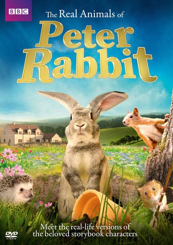 REAL ANIMALS OF PETER RABBIT - REAL ANIMALS OF PETER RABBIT (1 DVD) de ...