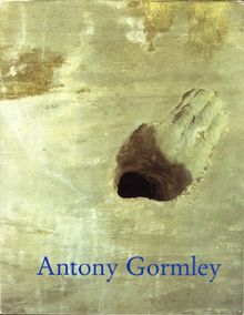 ANTONY GORMLEY DE Biggs, Lewis, McGonagle, Declan | Livre | état ...