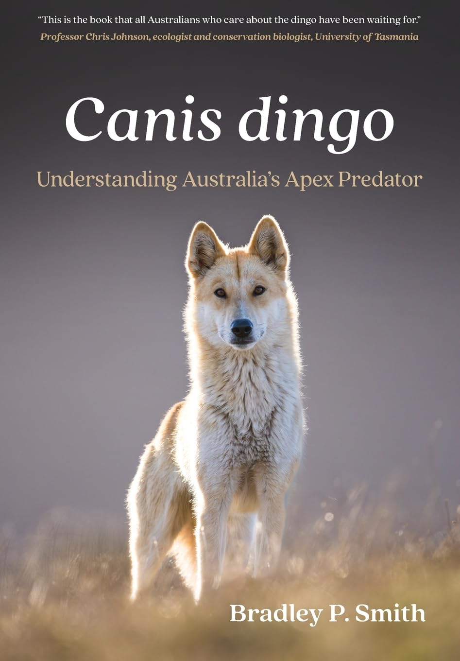 Canis dingo von Smith, Bradley P. - Taschenbuch