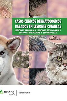 CASOS CLÍNICOS DERMATOLÓGICOS BASADOS EN LESIONES CUTÁNEAS: LESIONES ...