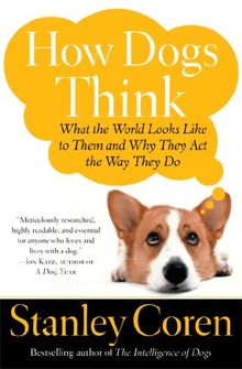 HOW DOGS THINK: What the World Looks Like to Them and... | Livre | état ...