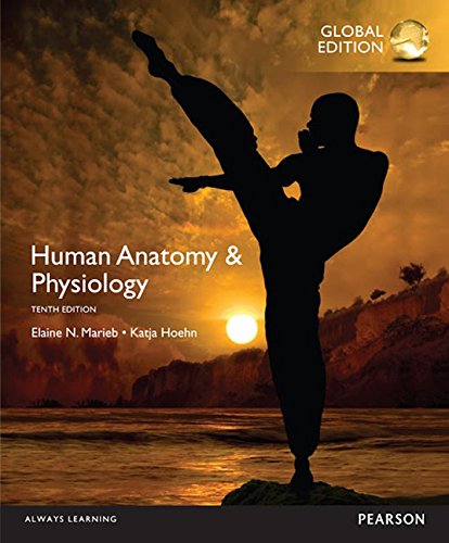 Human Anatomy & Physiology, Global Edition von Marieb, Elaine N ...