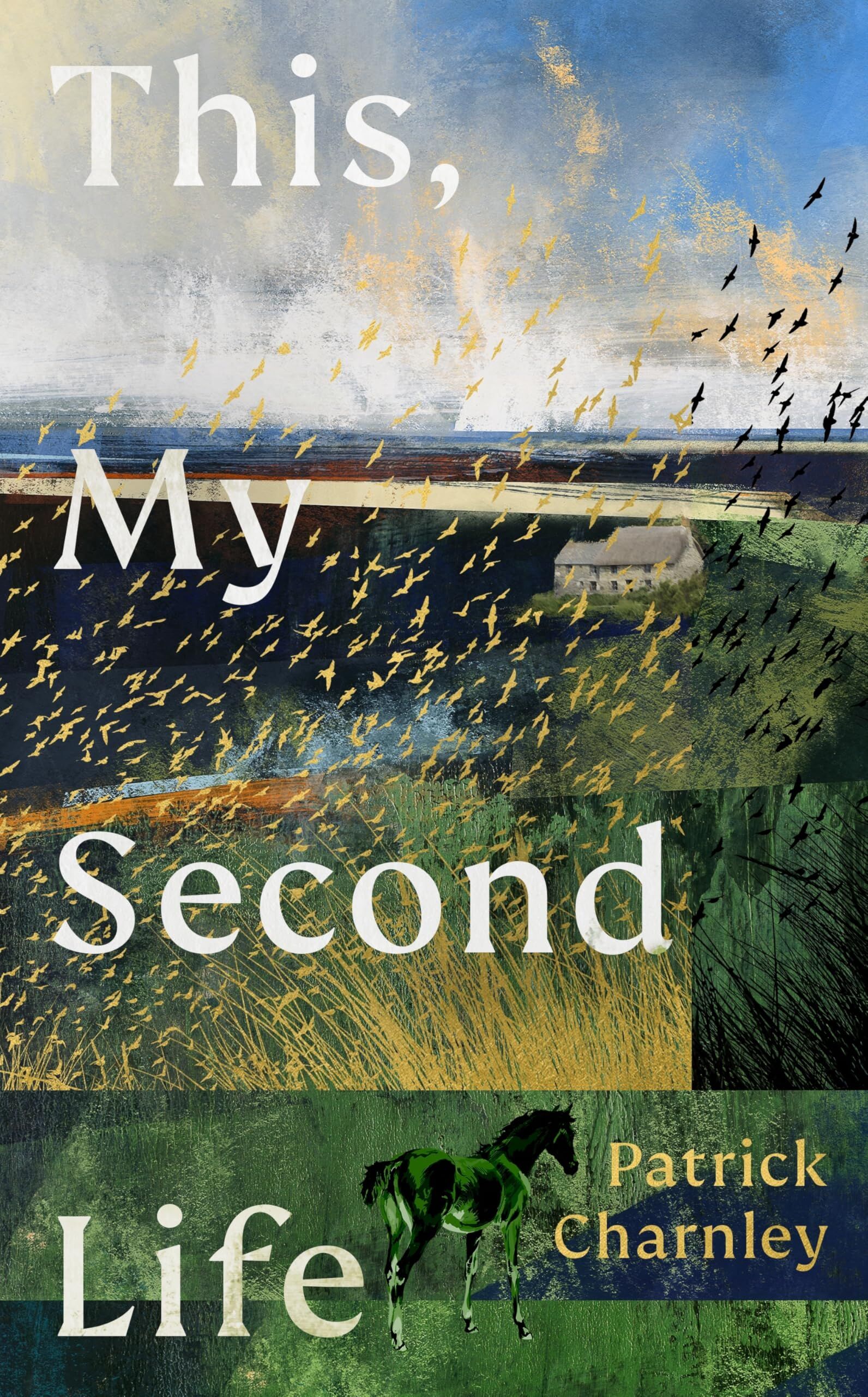 This, My Second Life von Patrick Charnley - Gebundene Ausgabe