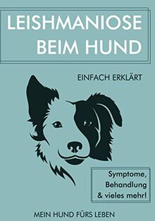 Leishmaniose bei Hunden: Leishmaniose beim Hund einfach erklärt ...