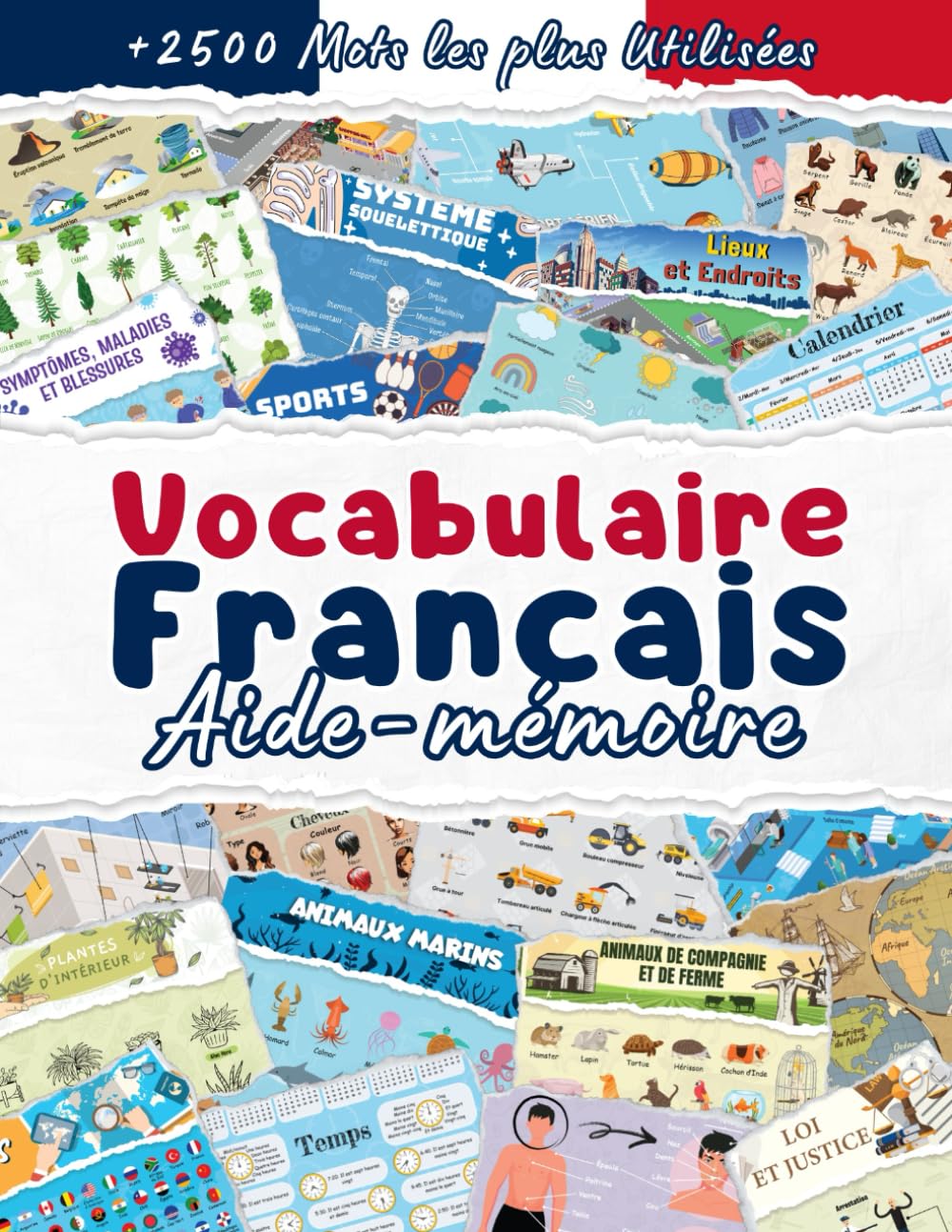 Aide-mémoire de Vocabulaire Français: +2500 Mots Français les plus ...